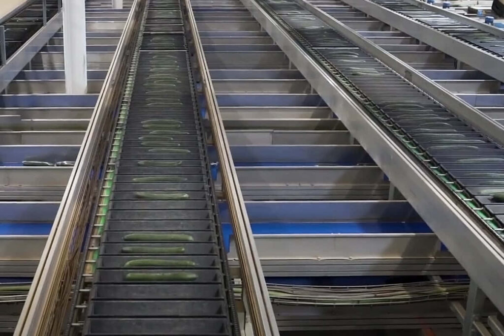 Líneas de producción automatizadas. ¿Mejoran el sistema de producción ...